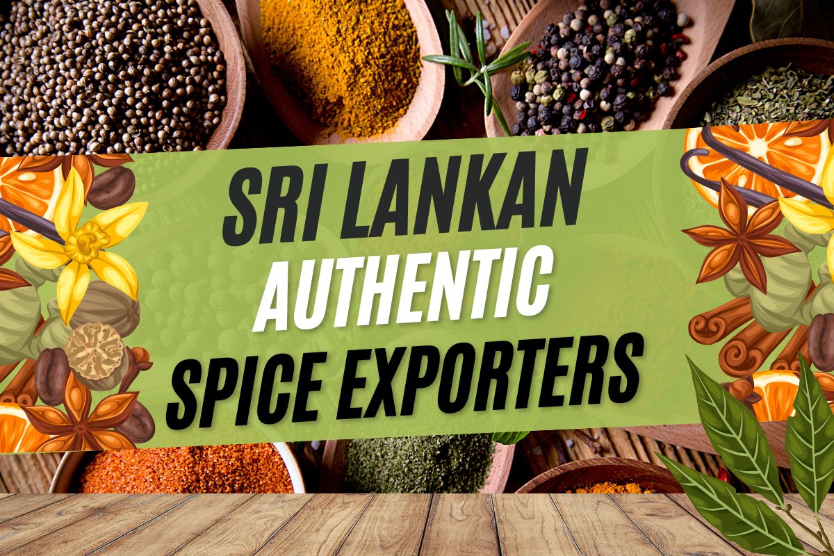 Mega Spice – Quality beyond expected.
